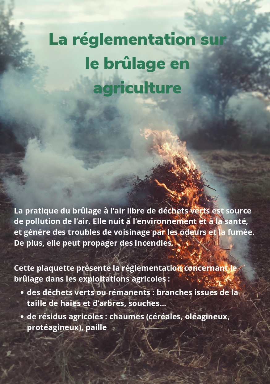 Brûlage des déchets verts par les exploitants agricoles - Commune de ...